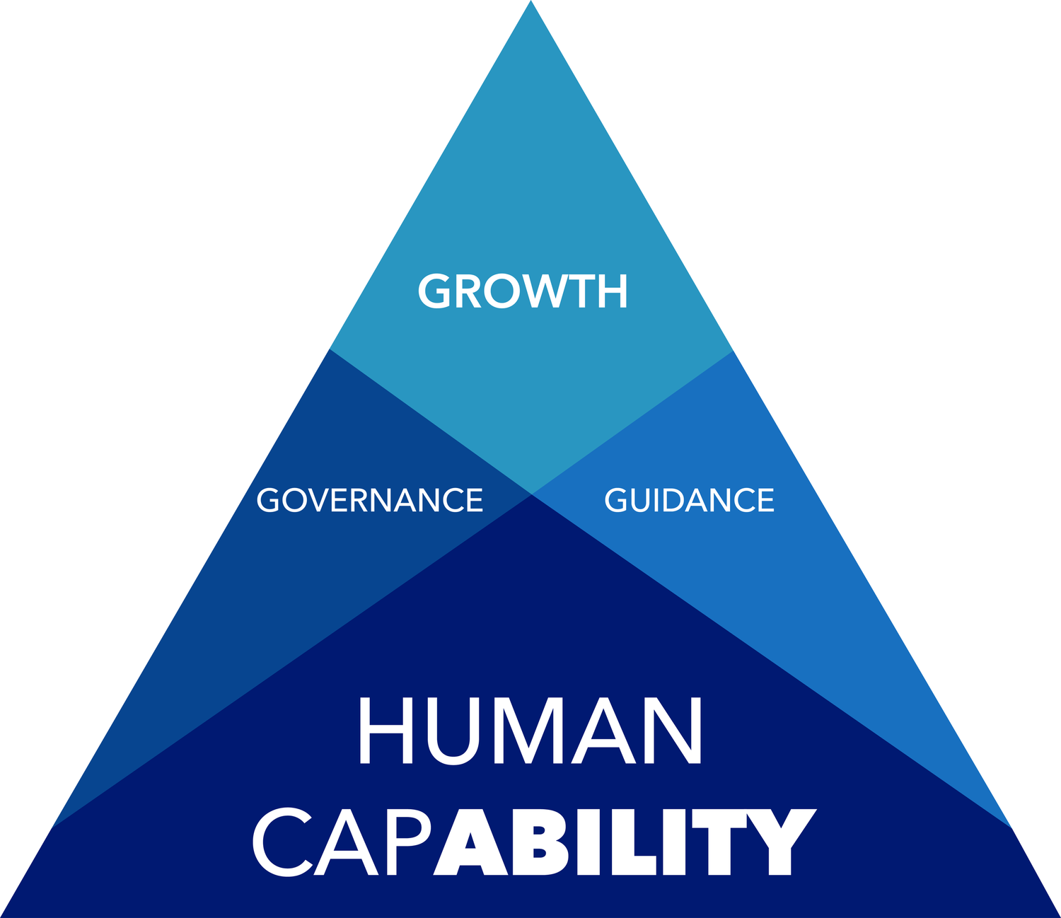 G3 Human Capability