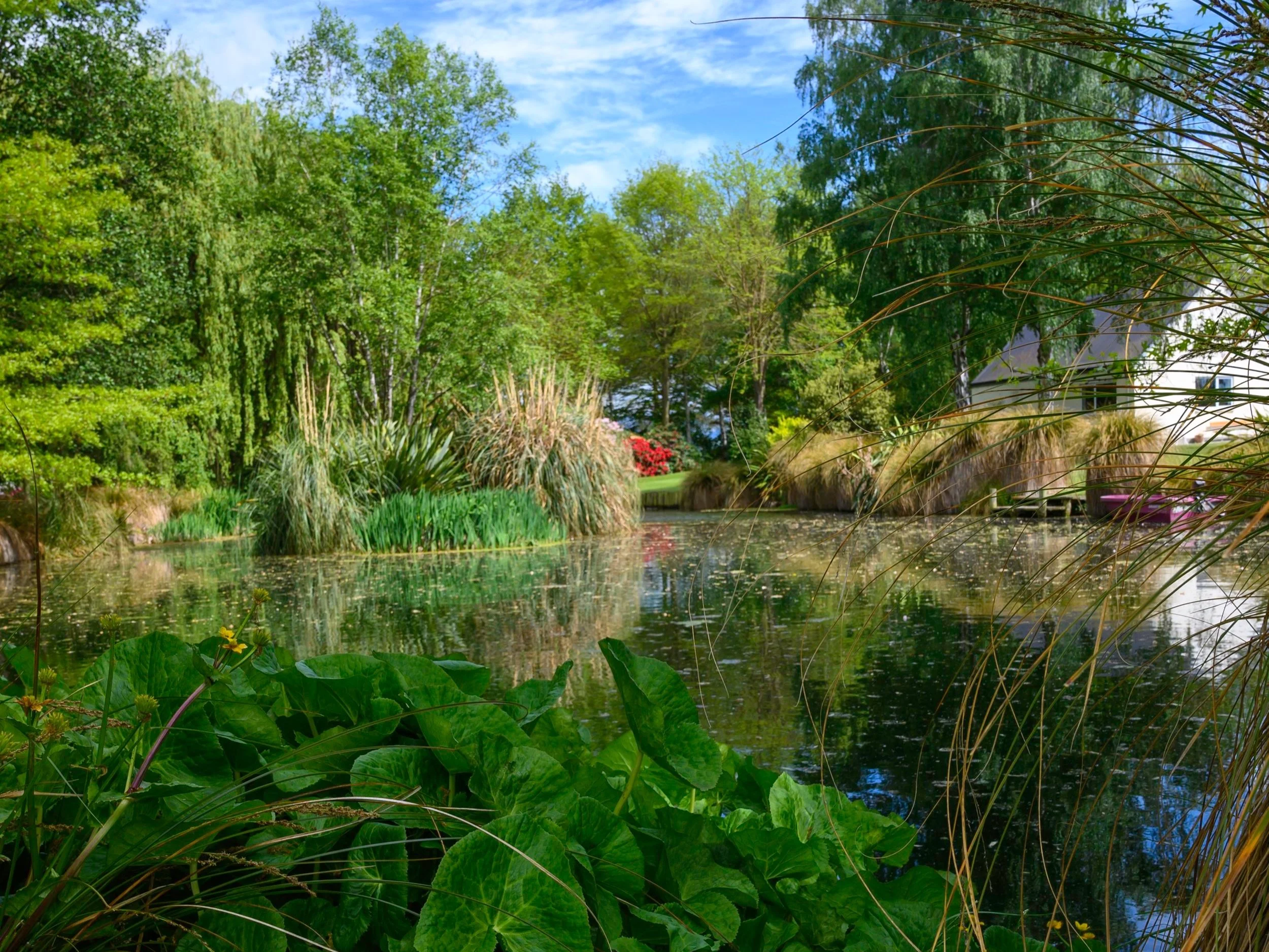 Coldstream — Hurunui Garden Festival