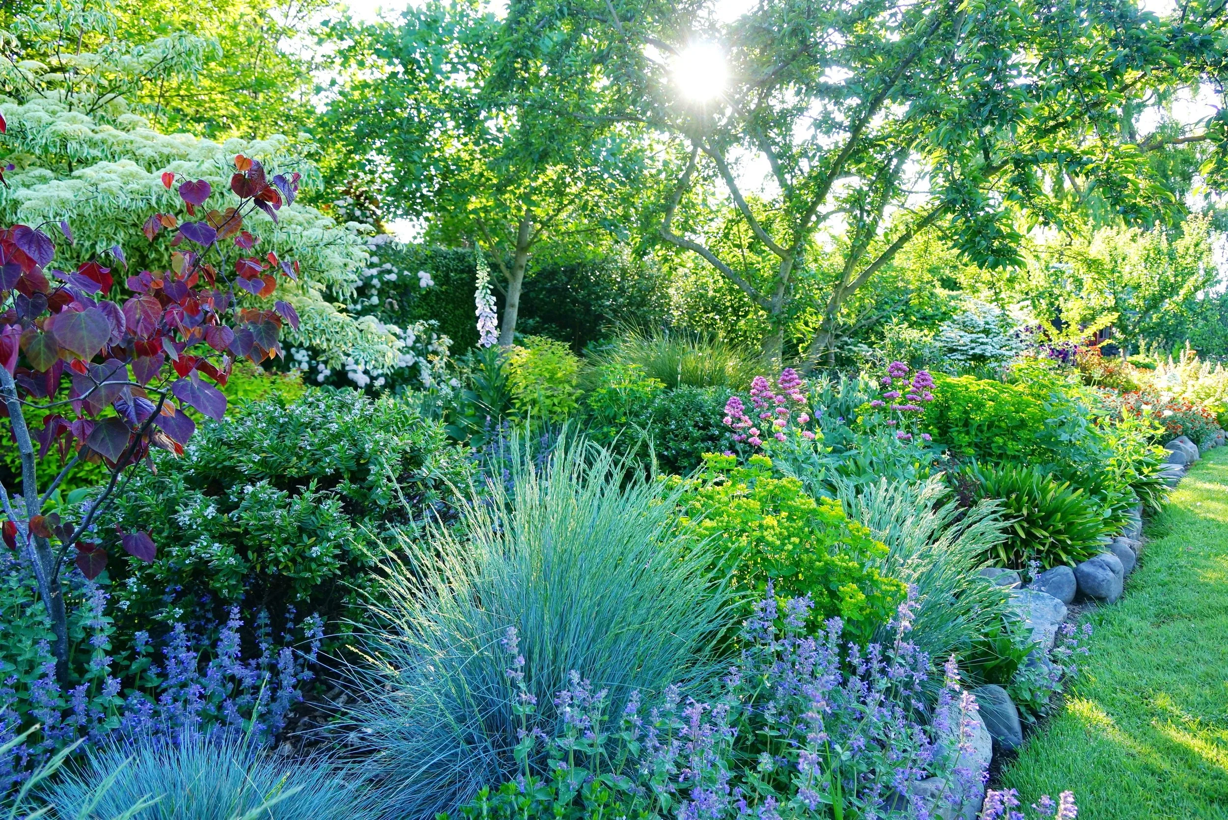 Blue House | Discover Tranquil Gardens — Hurunui Garden Festival