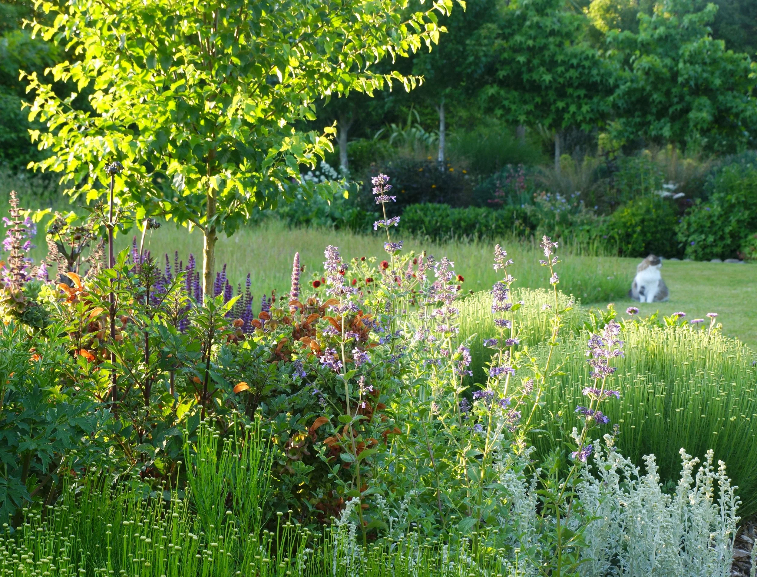 General 1 — Hurunui Garden Festival