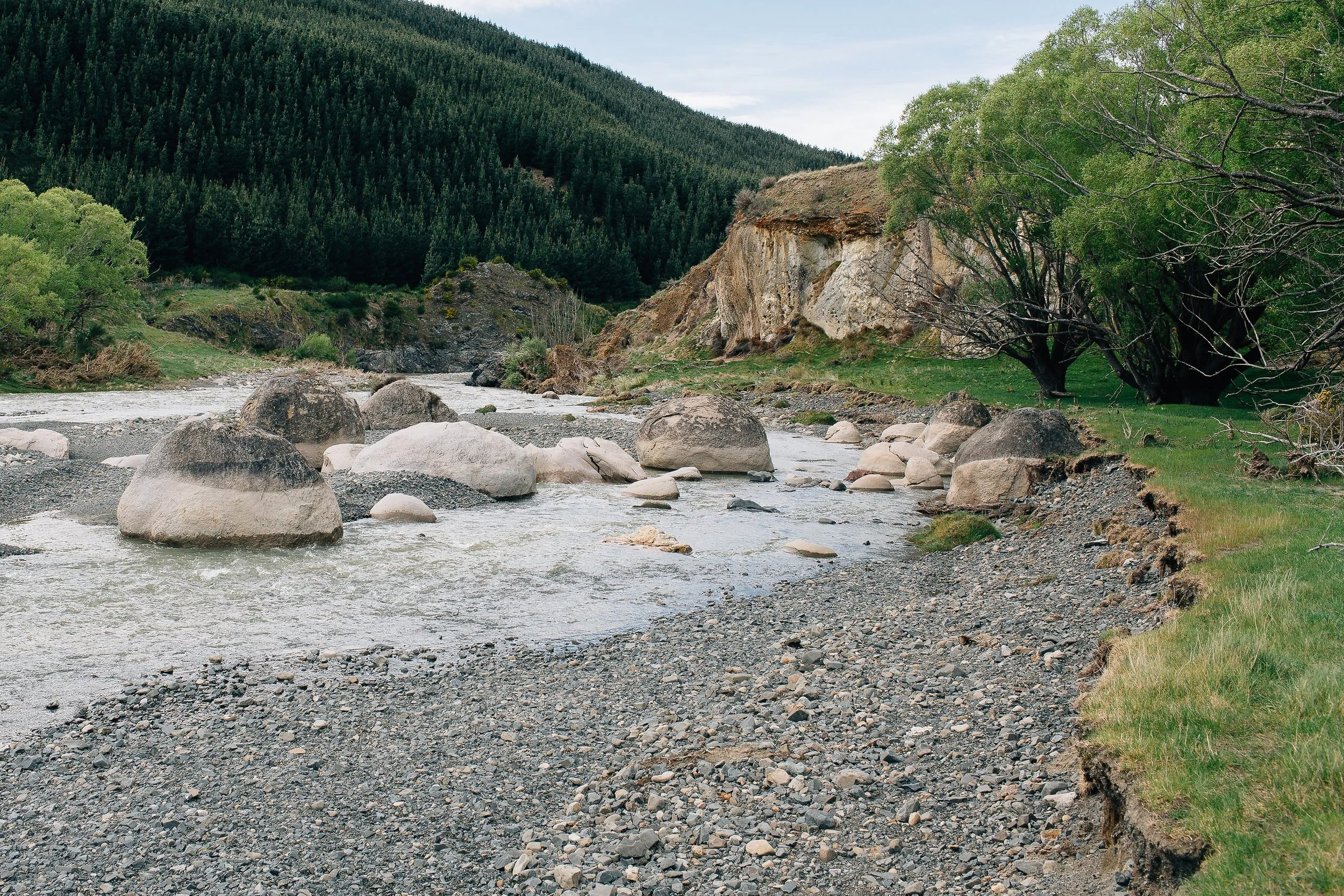 Karetu Downs | Discover Gardens Now — Hurunui Garden Festival