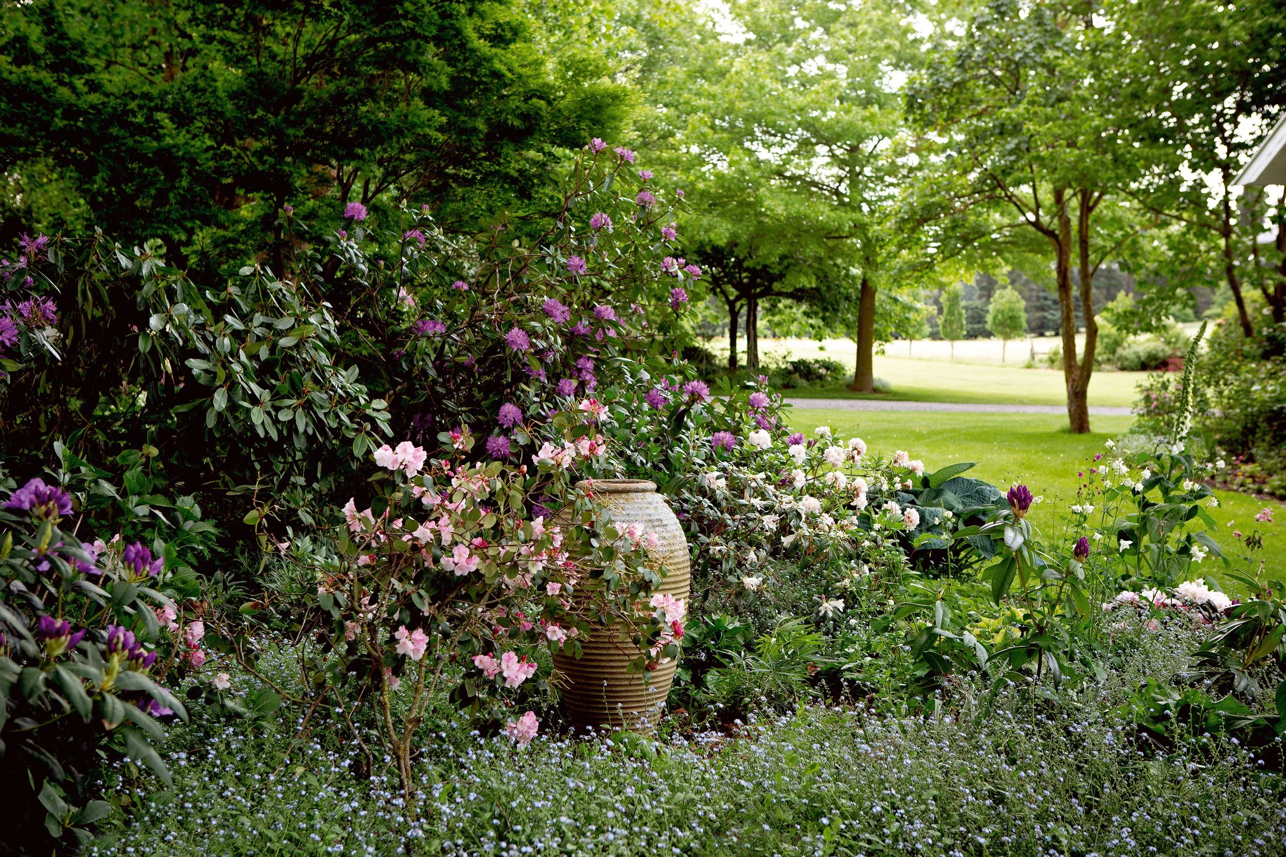 Newstead | Explore Vibrant Gardens — Hurunui Garden Festival