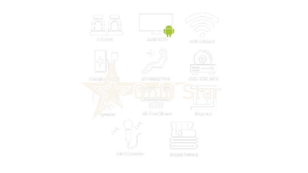 Medium bus details | GOLD STAR | SEWA BUS PARIWISATA TERBAIK JAKARTA