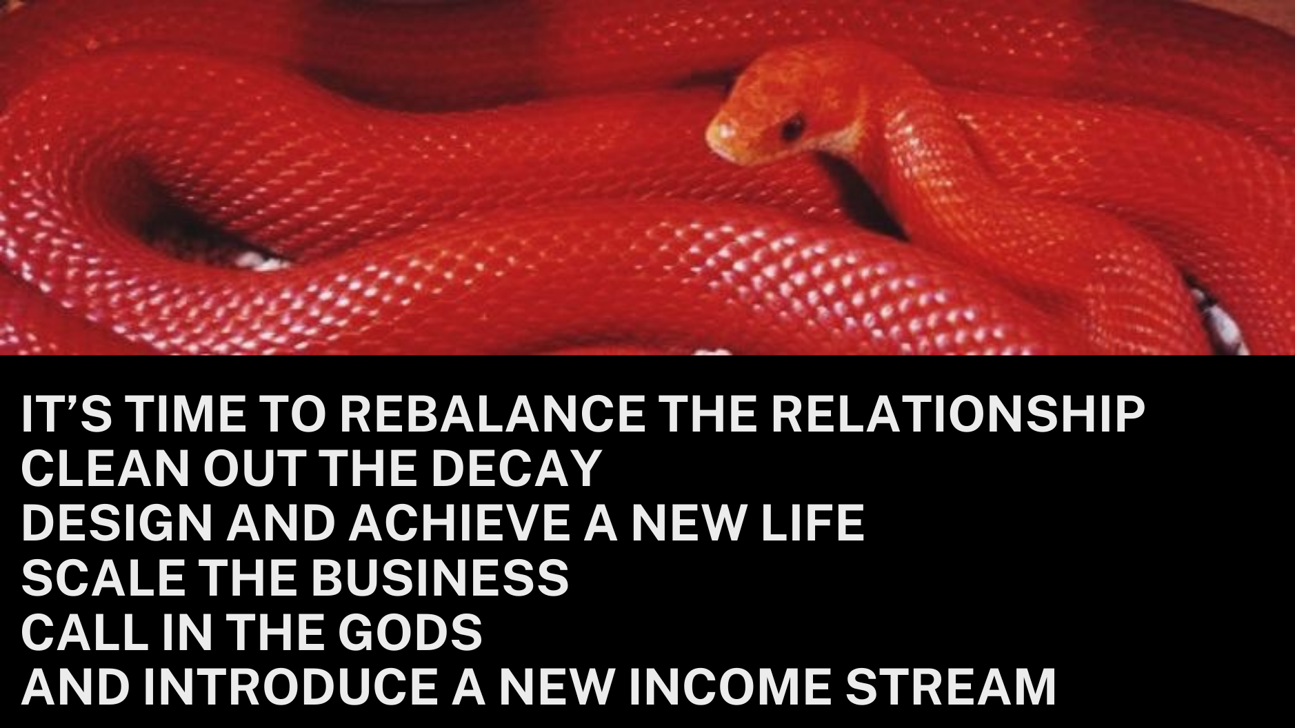 EROTIC WEALTH — ONAMI