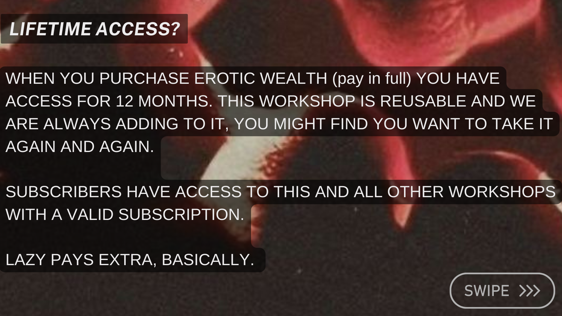 EROTIC WEALTH — ONAMI