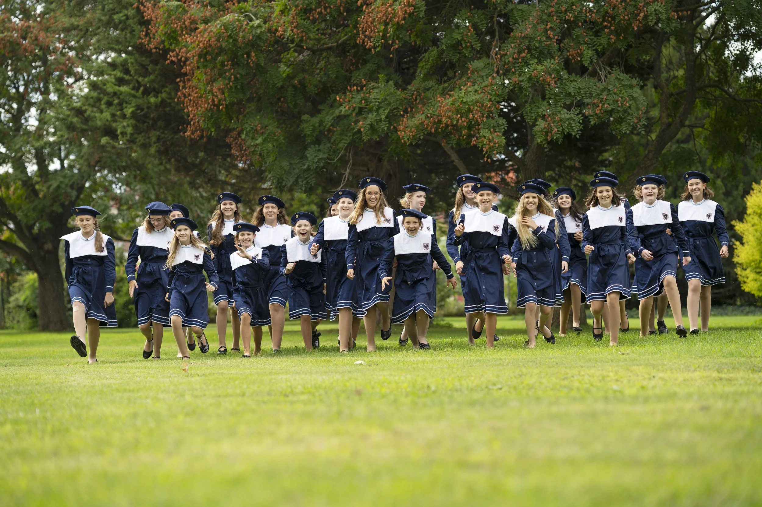 AMADEUS FESTIVAL VIENNA