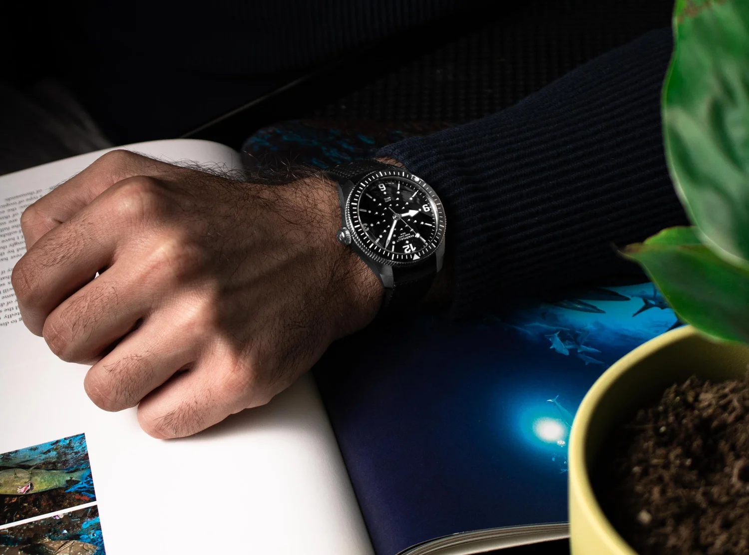 ABOUT US — MARNAUT | Automatic Dive Watches