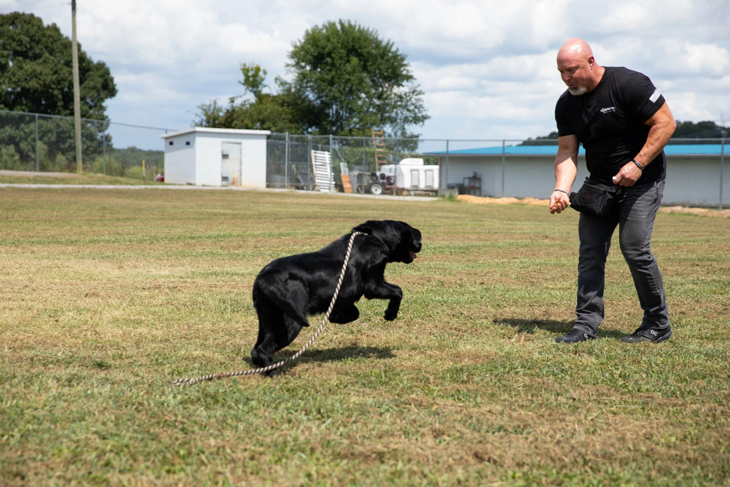 Best English Labrador Breeders in the USA | Moose and Mary Labrador Kennels