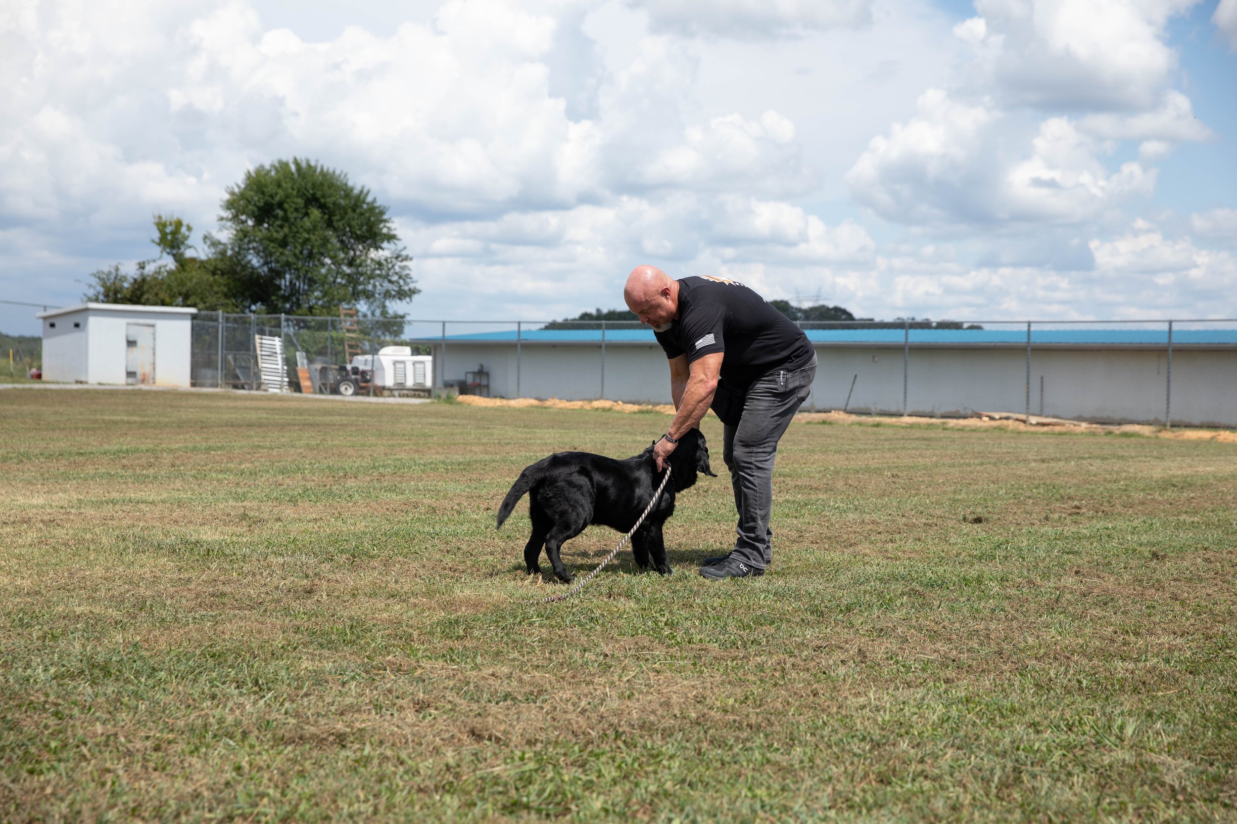 Best English Labrador Breeders in the USA | Moose and Mary Labrador Kennels