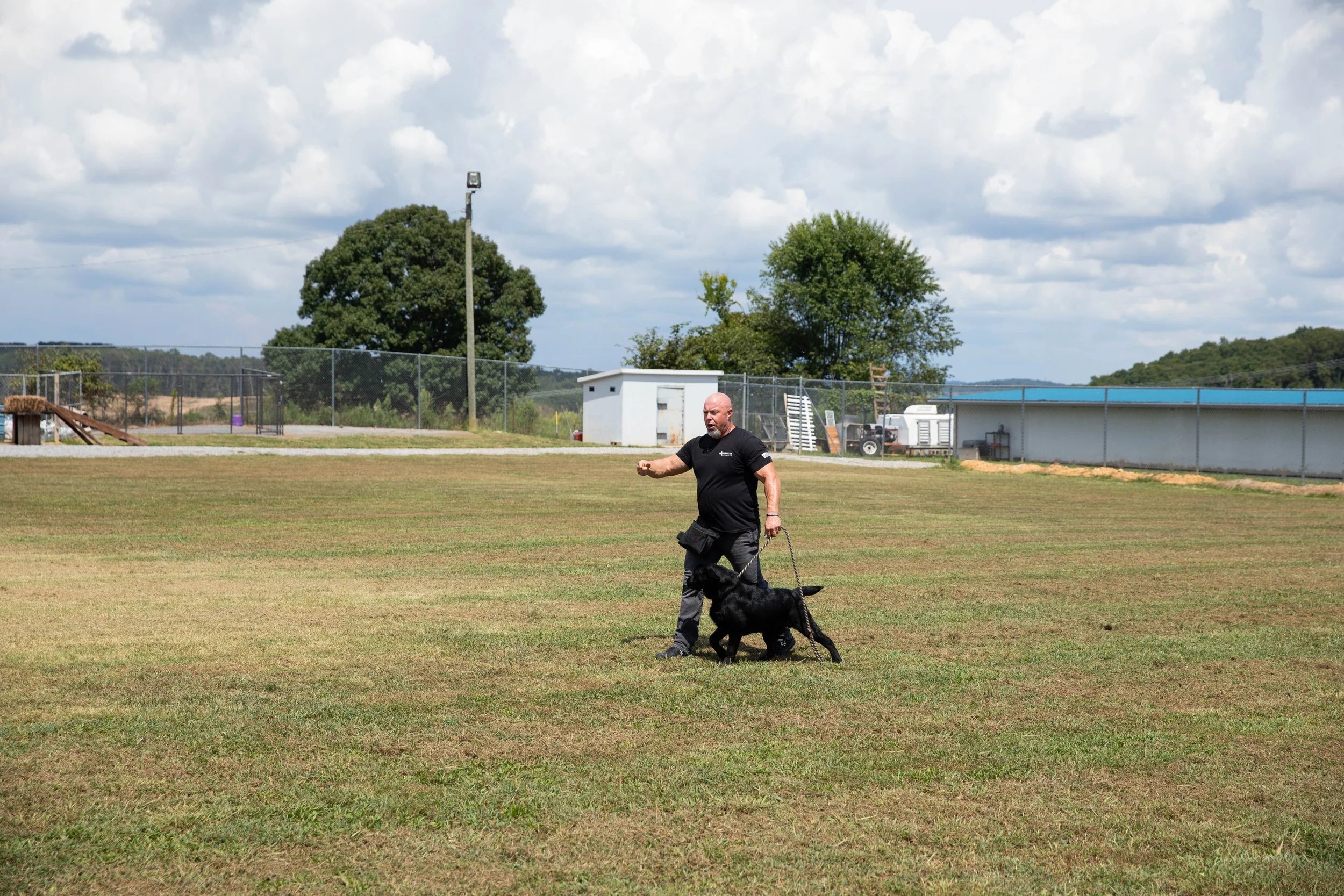 Best English Labrador Breeders in the USA | Moose and Mary Labrador Kennels