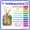 Multilingual Book