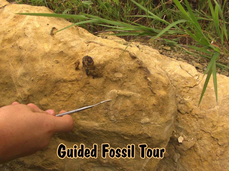 ADVENTURE TOURS OF KANSAS