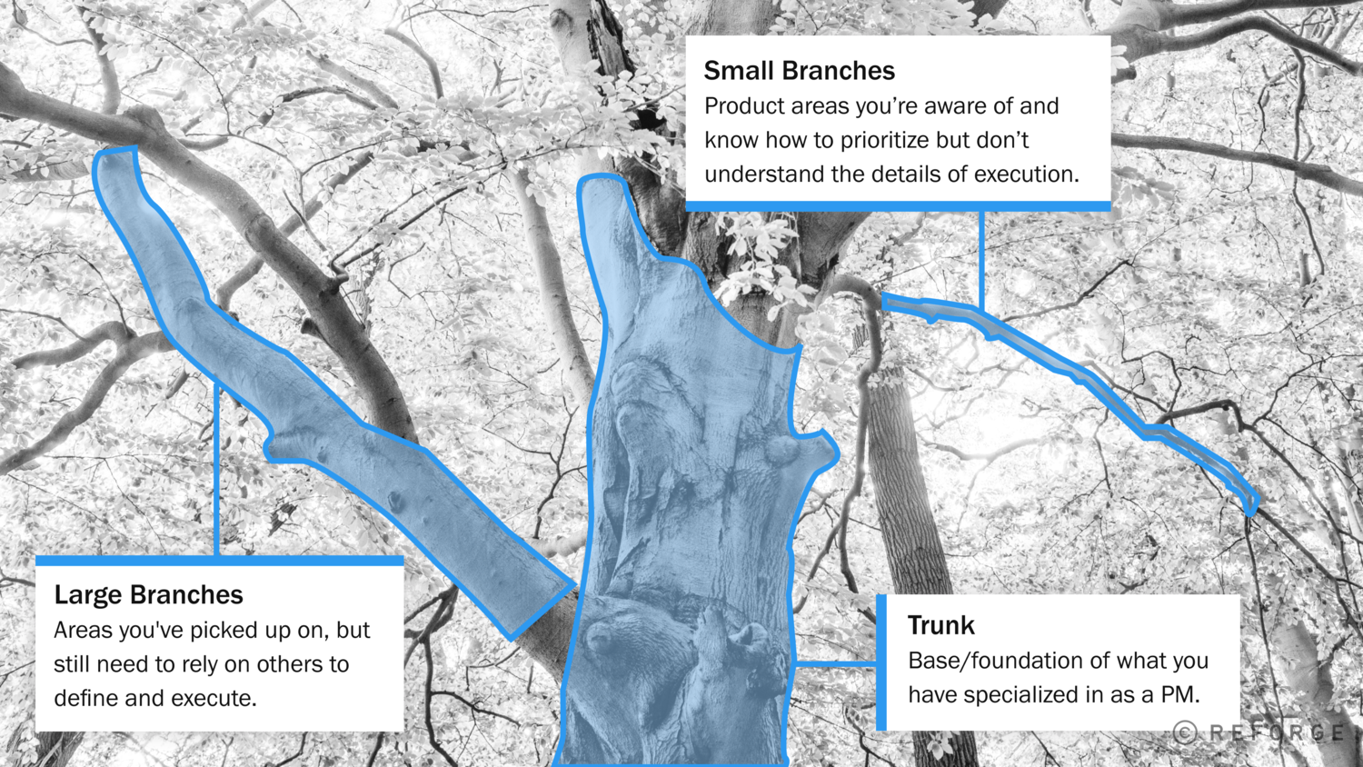 Navigating The 4 Types of Product Management Specializations — Reforge