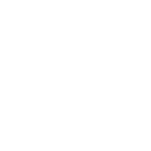 Services — BSWA