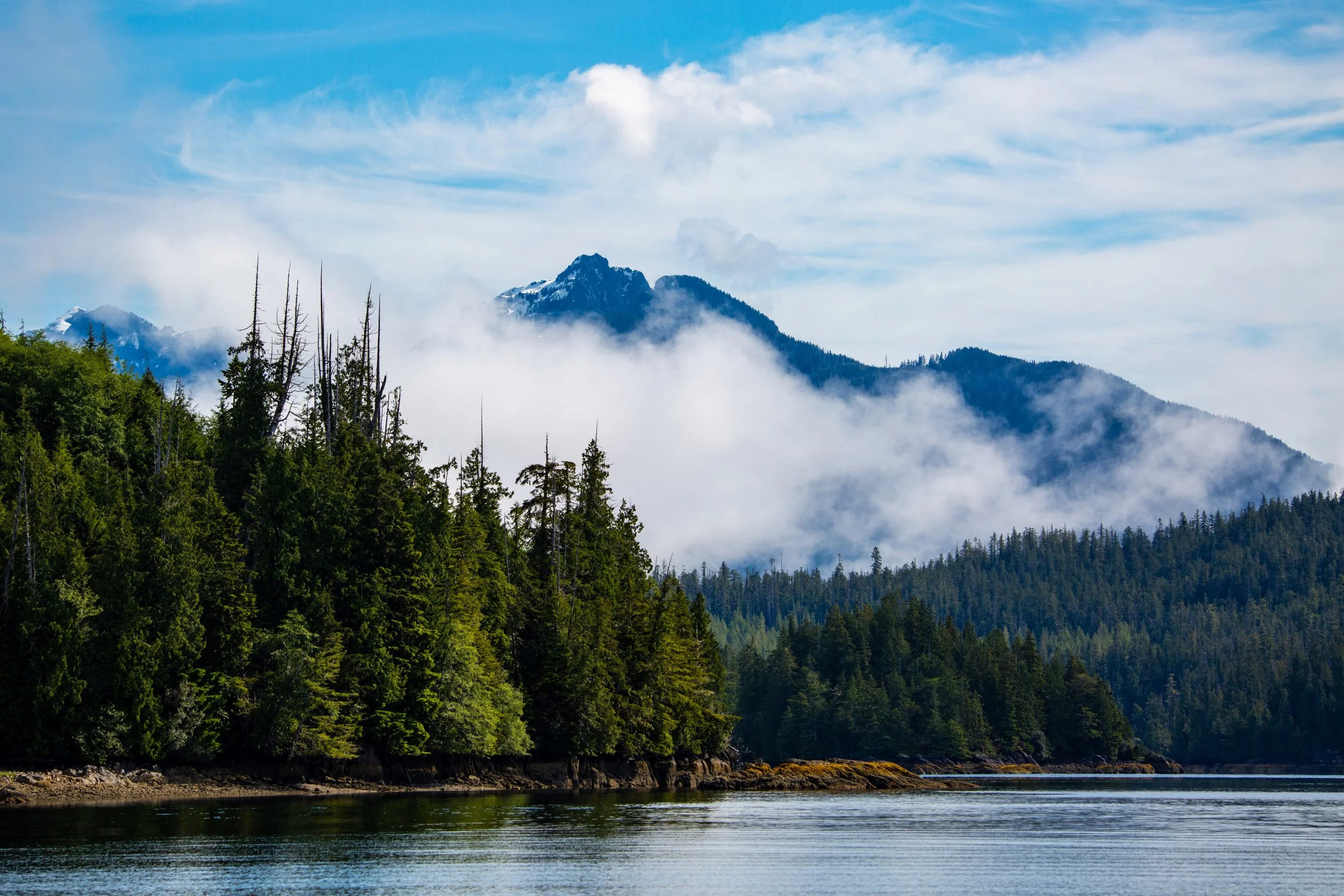Getting Here | Pacific Rim Whale Festival