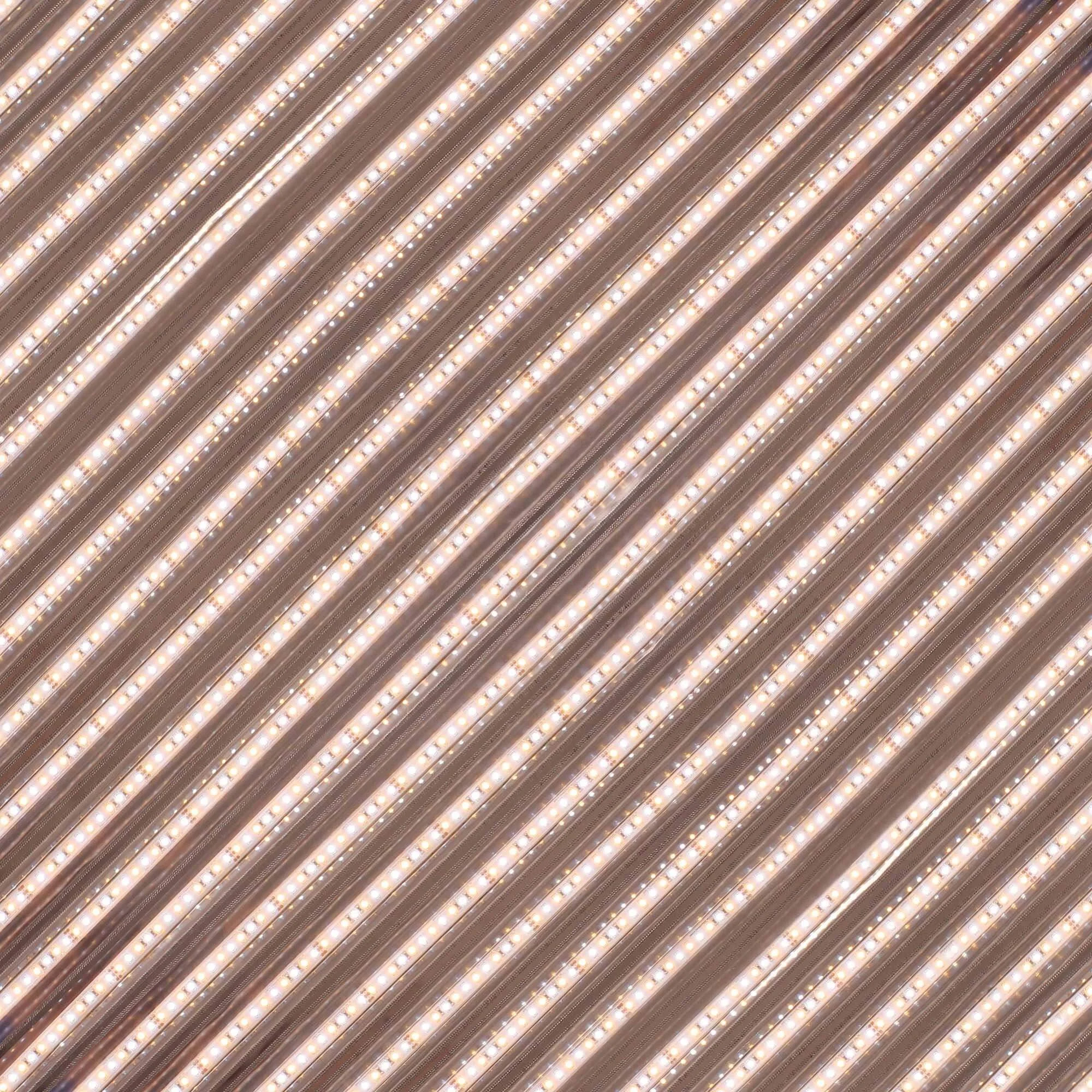 LED BLANKETS — Sourcemaker