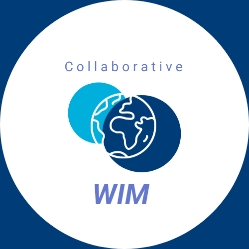 Meet CWIM Ambassadors — Collaborative WIM
