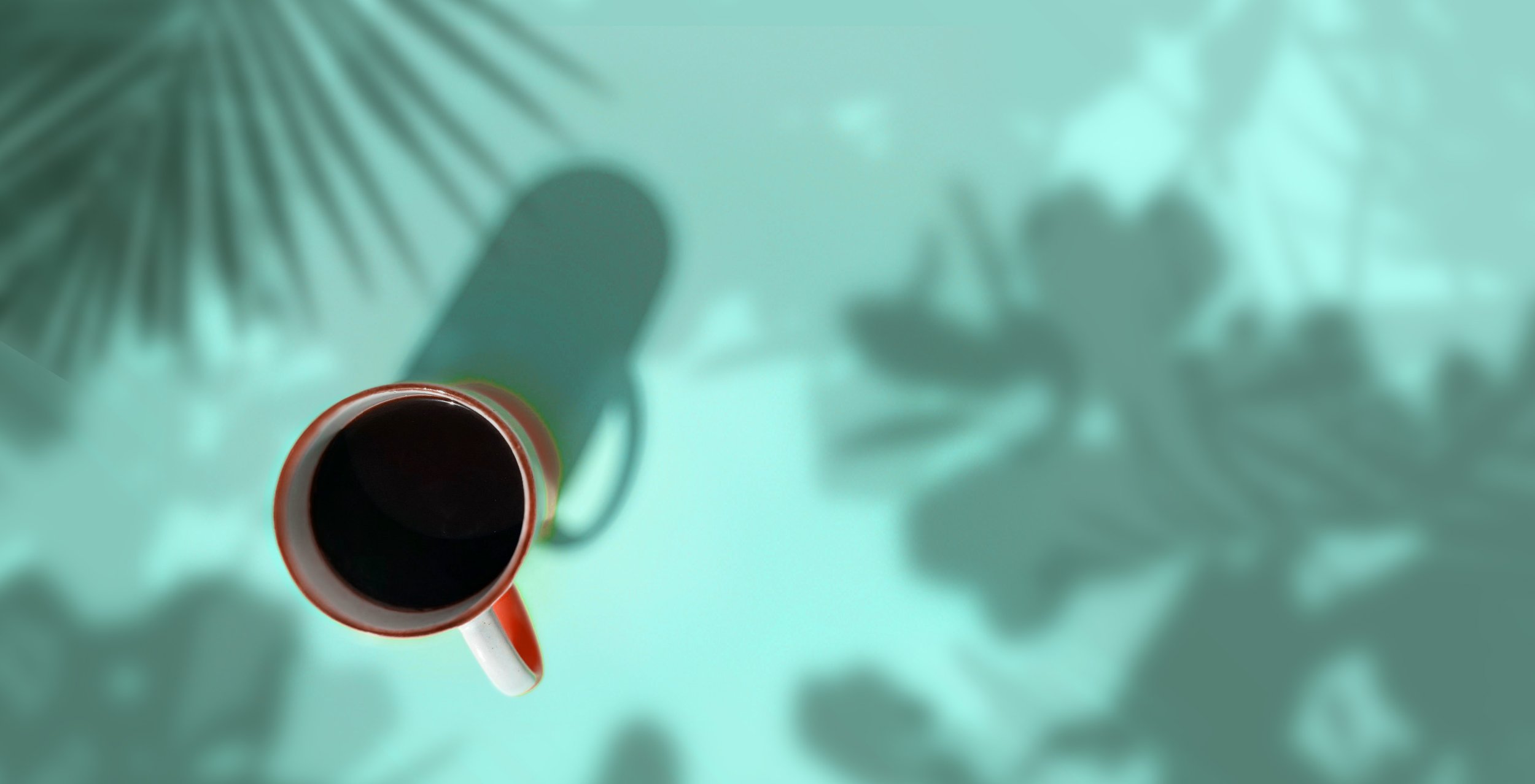 Fiji Wild Coffee — Finletter Creative