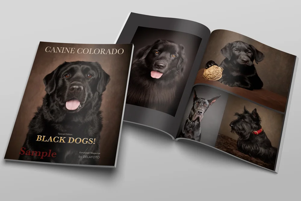 Colorado Dog Magazine Fundraiser