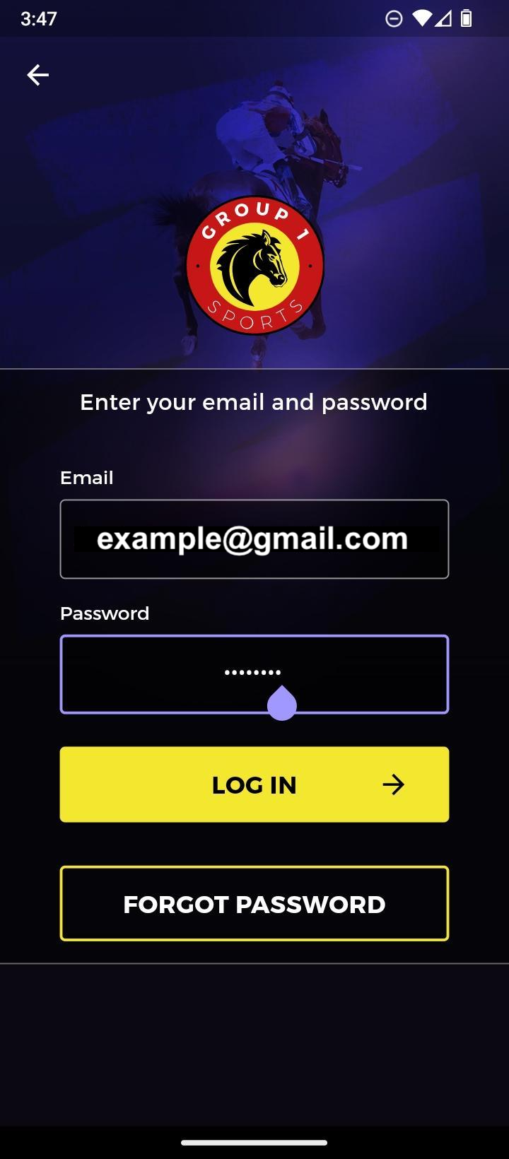 Password Reset Guide — Group 1 Sports