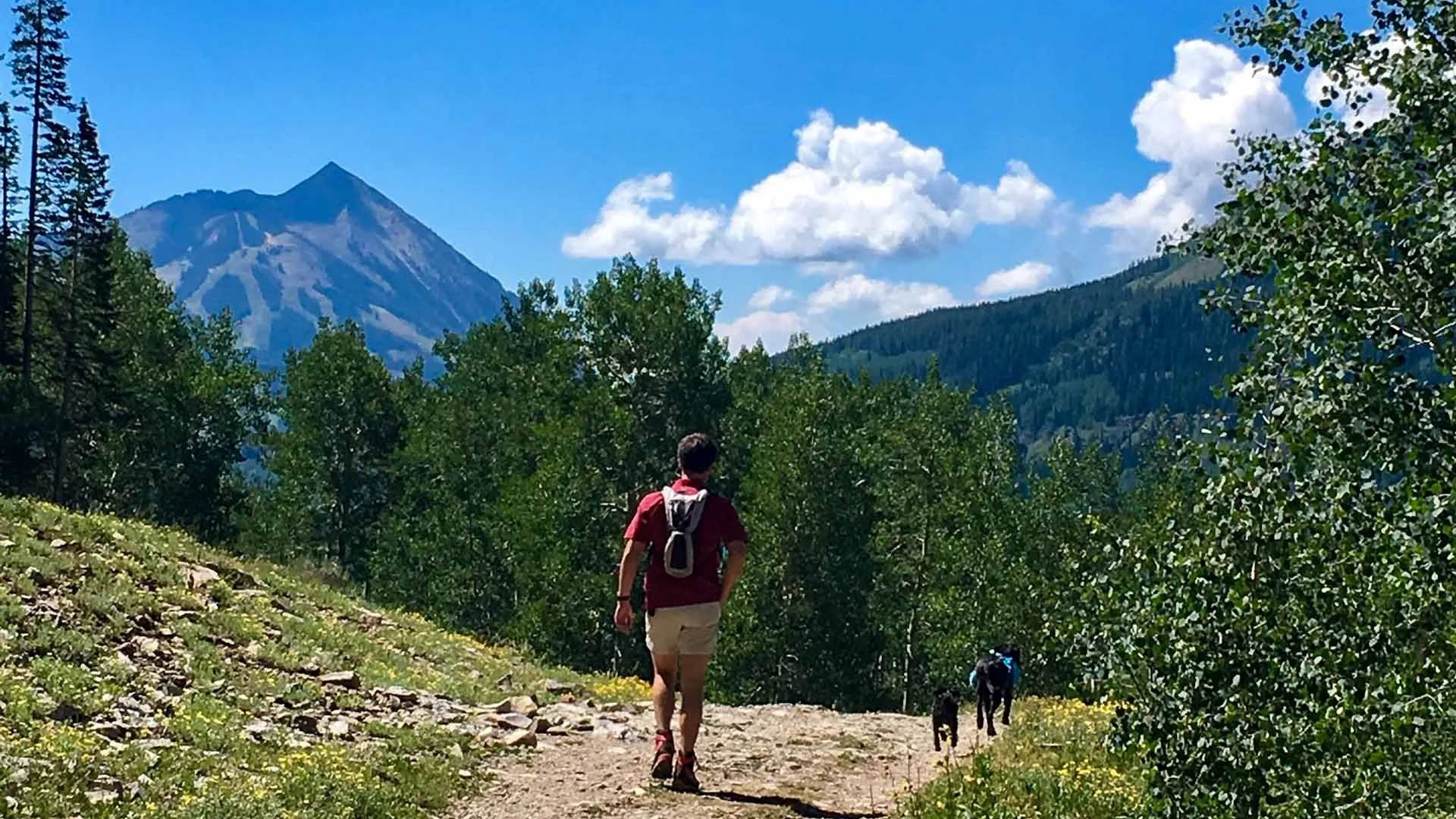 Institute for Relational Recovery