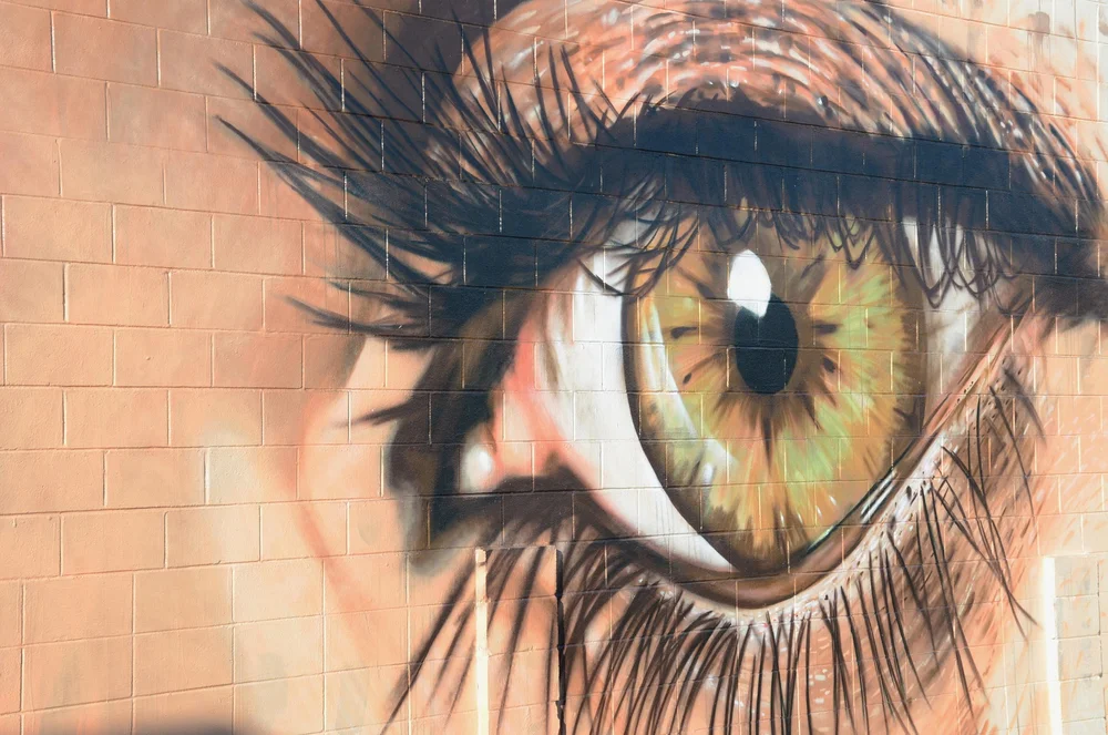 Boston Bean Wall Mural — Eyre Arts Action Inc