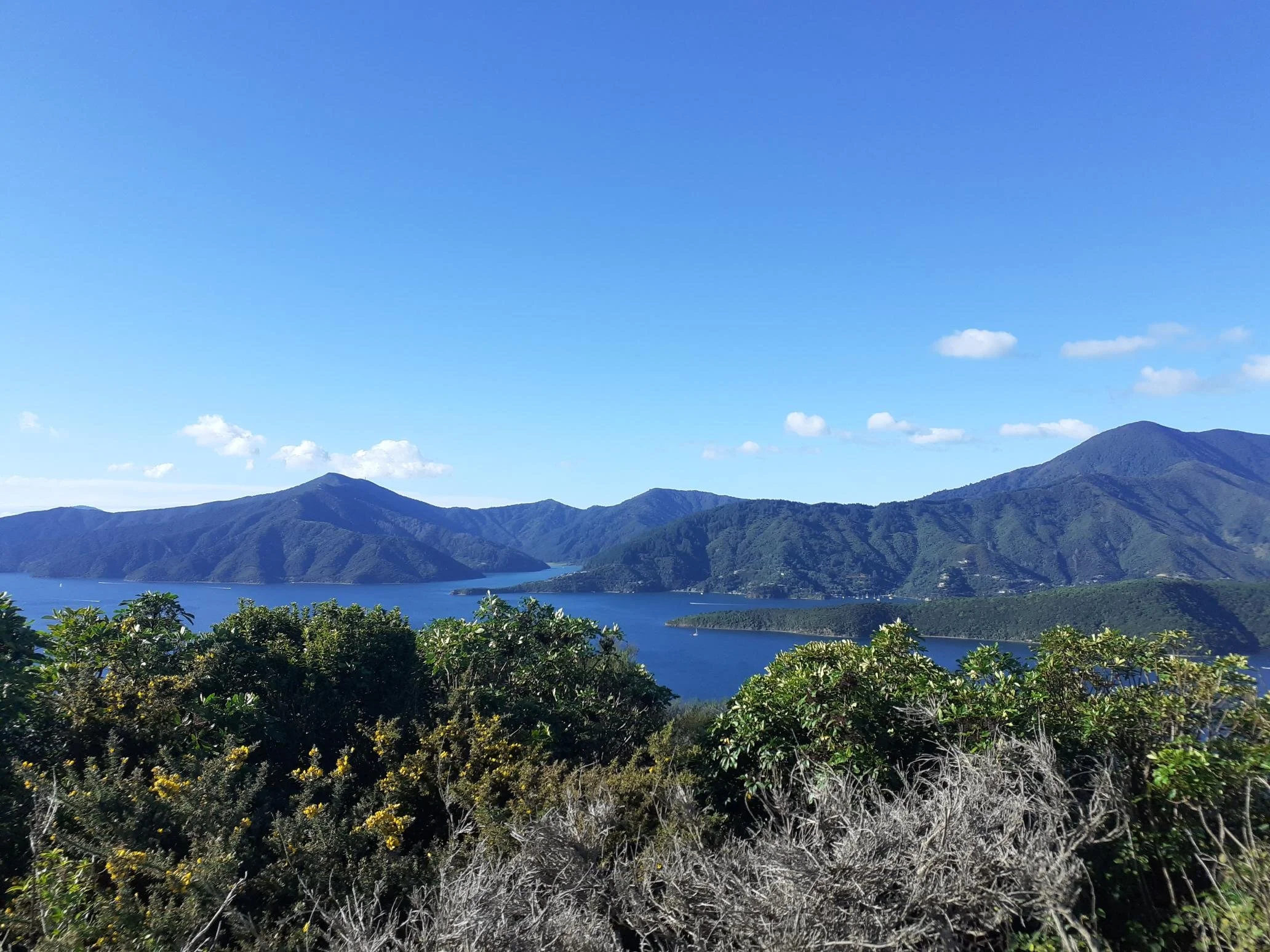Marlborough Sounds Restoration Trust