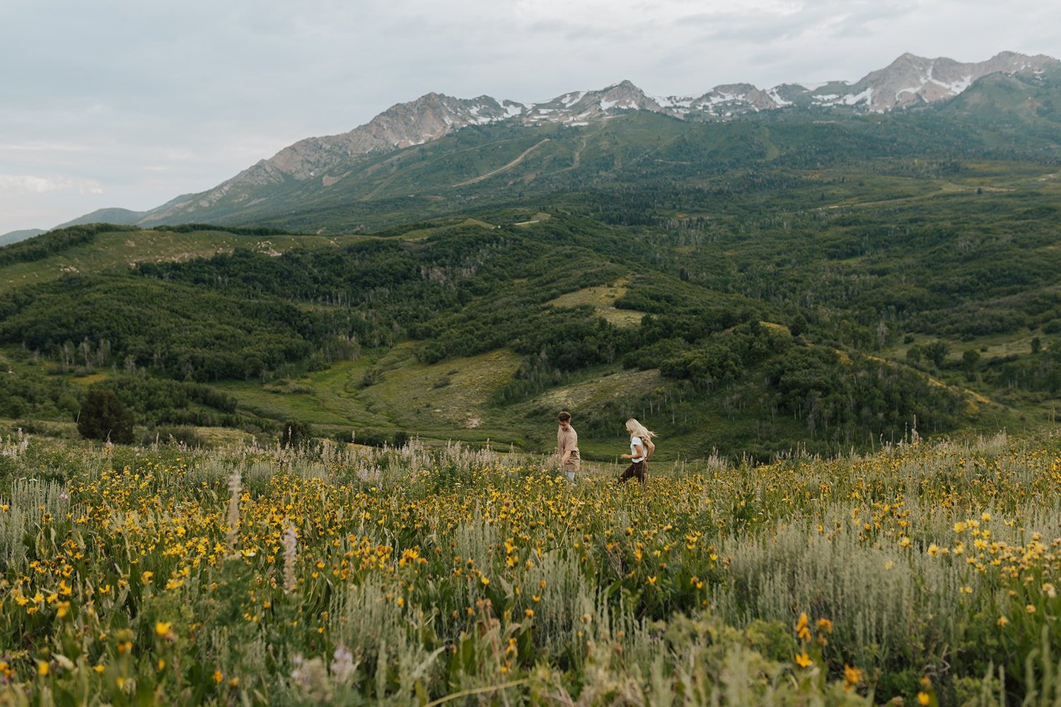 Tender Wildflower Engagement Photoshoot - Northern Utah - Poise and Ivy Imagery — Poise & Ivy ...
