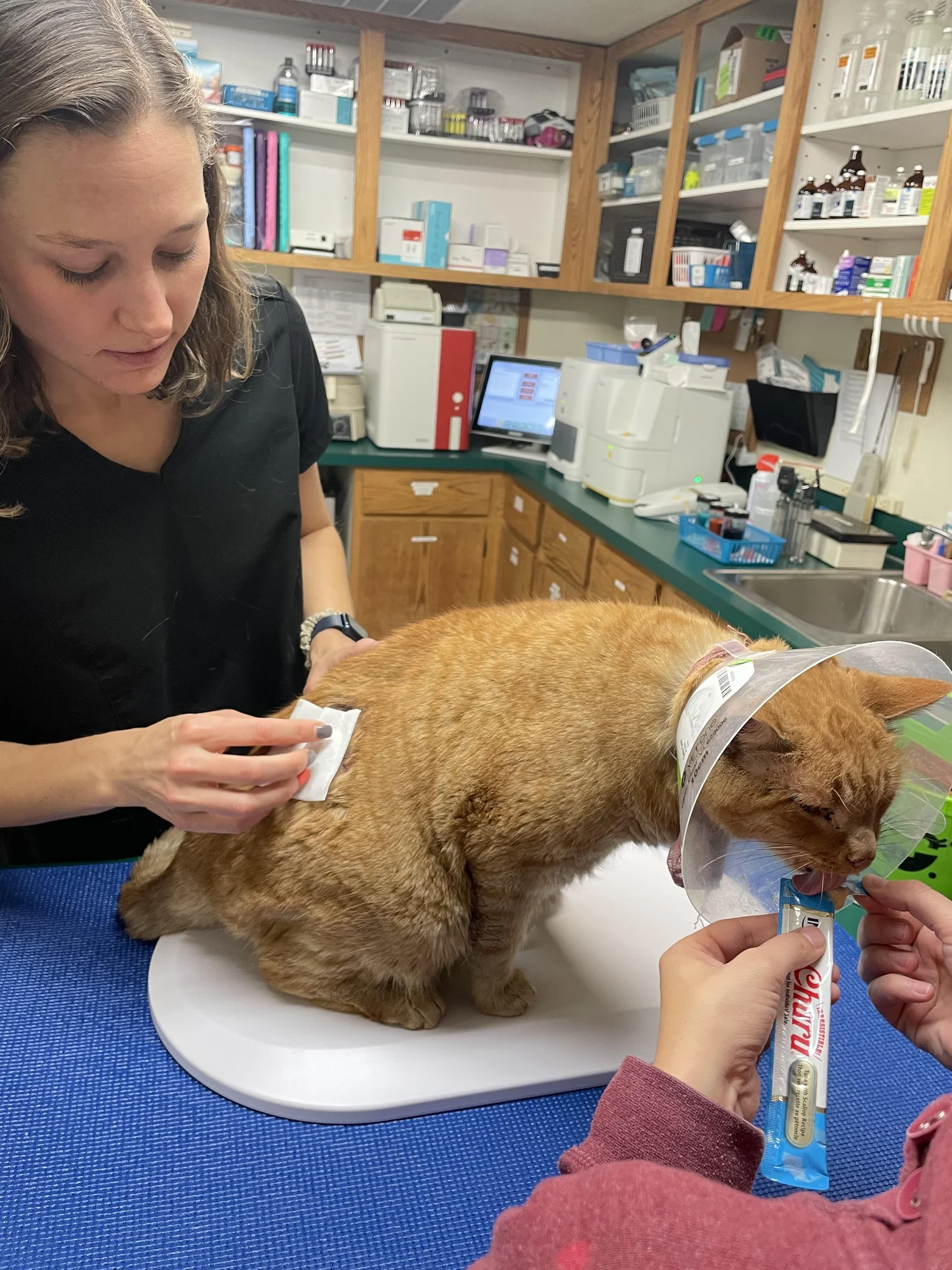 Eagle Veterinary Hospital