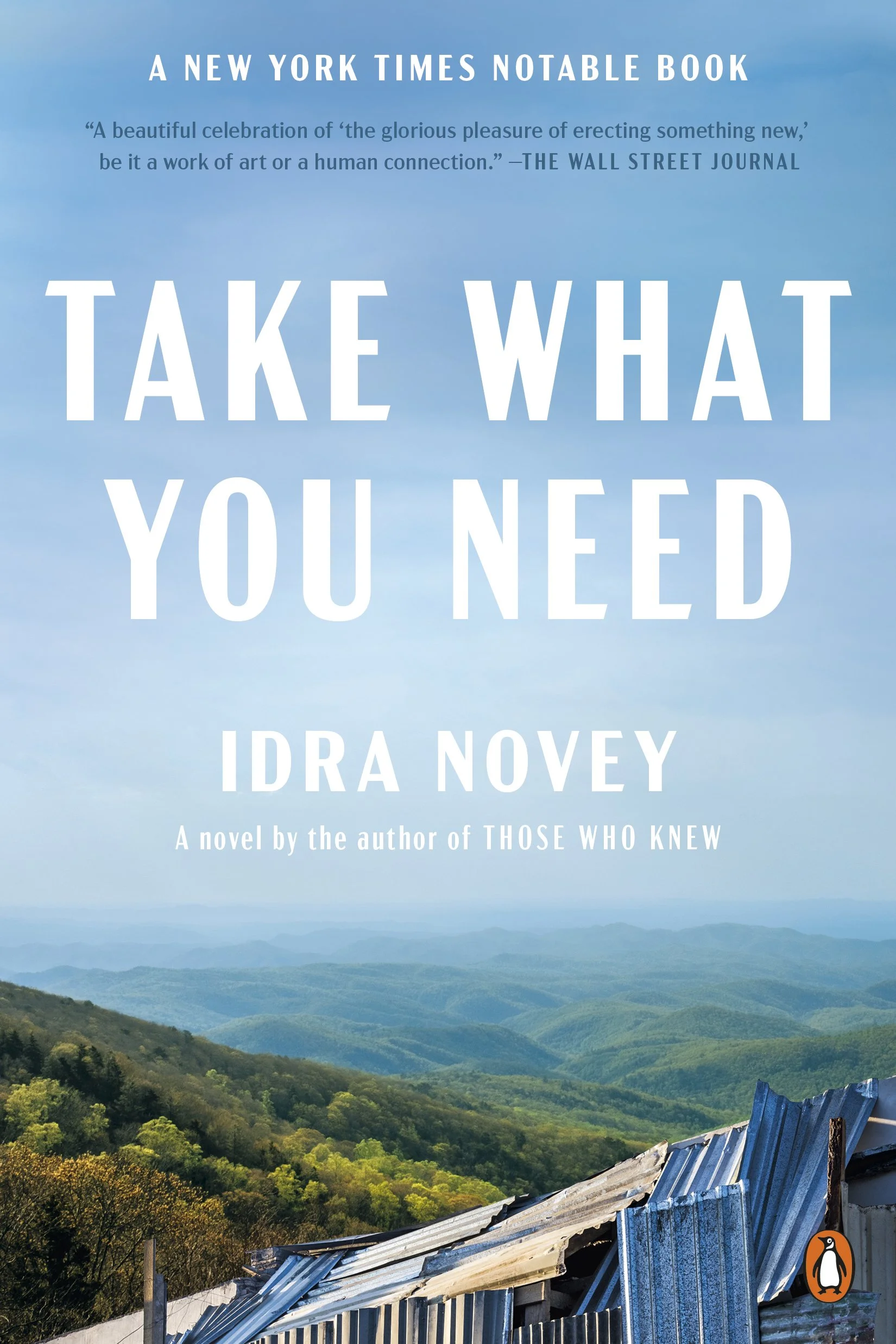 Take What You Need — Idra Novey