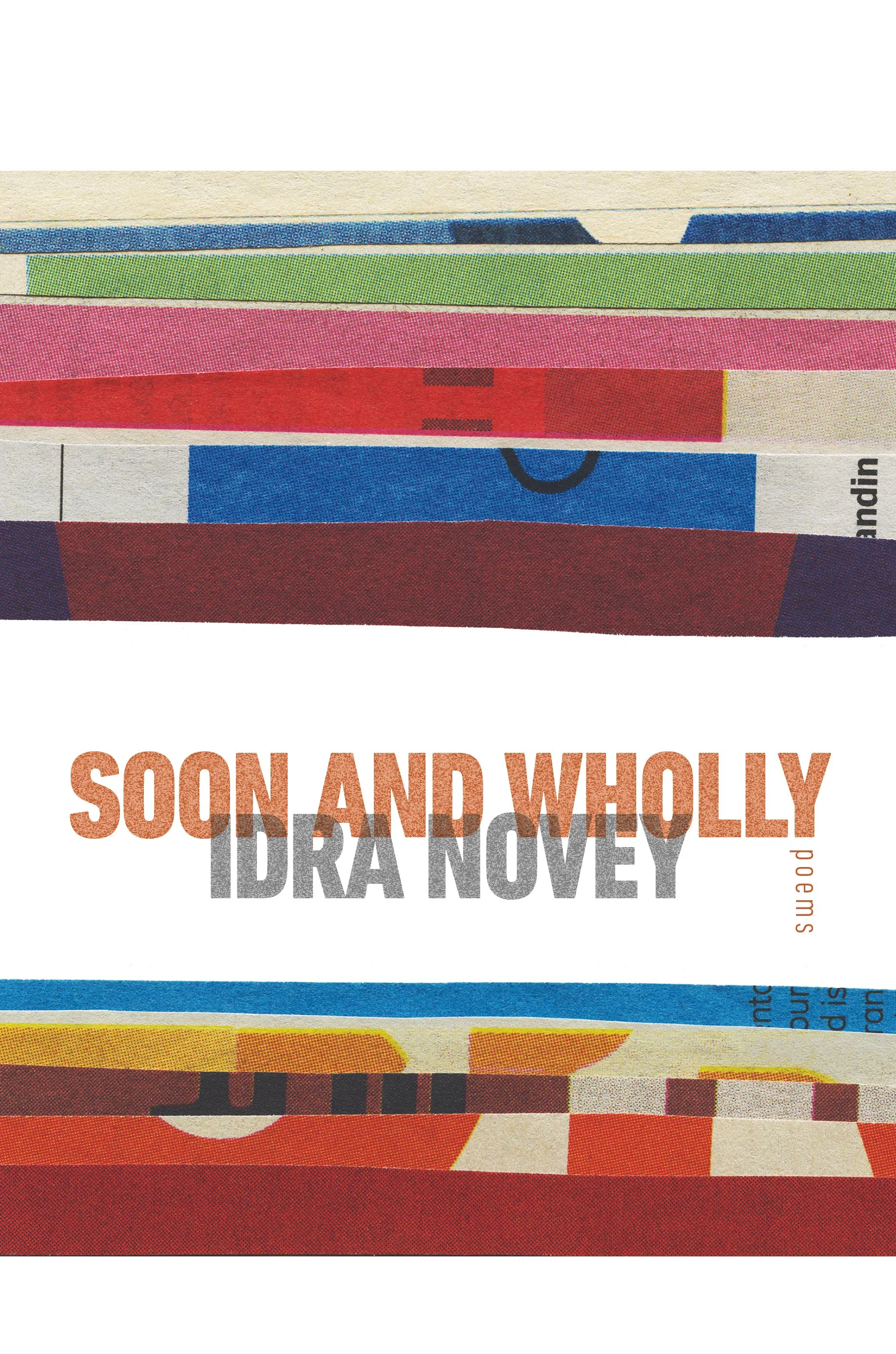 Idra Novey