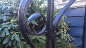 Railings in Full Bloom — Willow the Wisp Metalwork