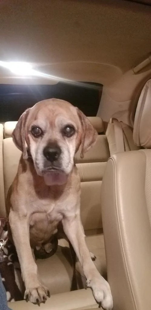 General 5 — Reed's Rescue