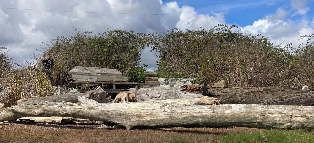 Graham Landin: Triangle Beach — Pale Fire