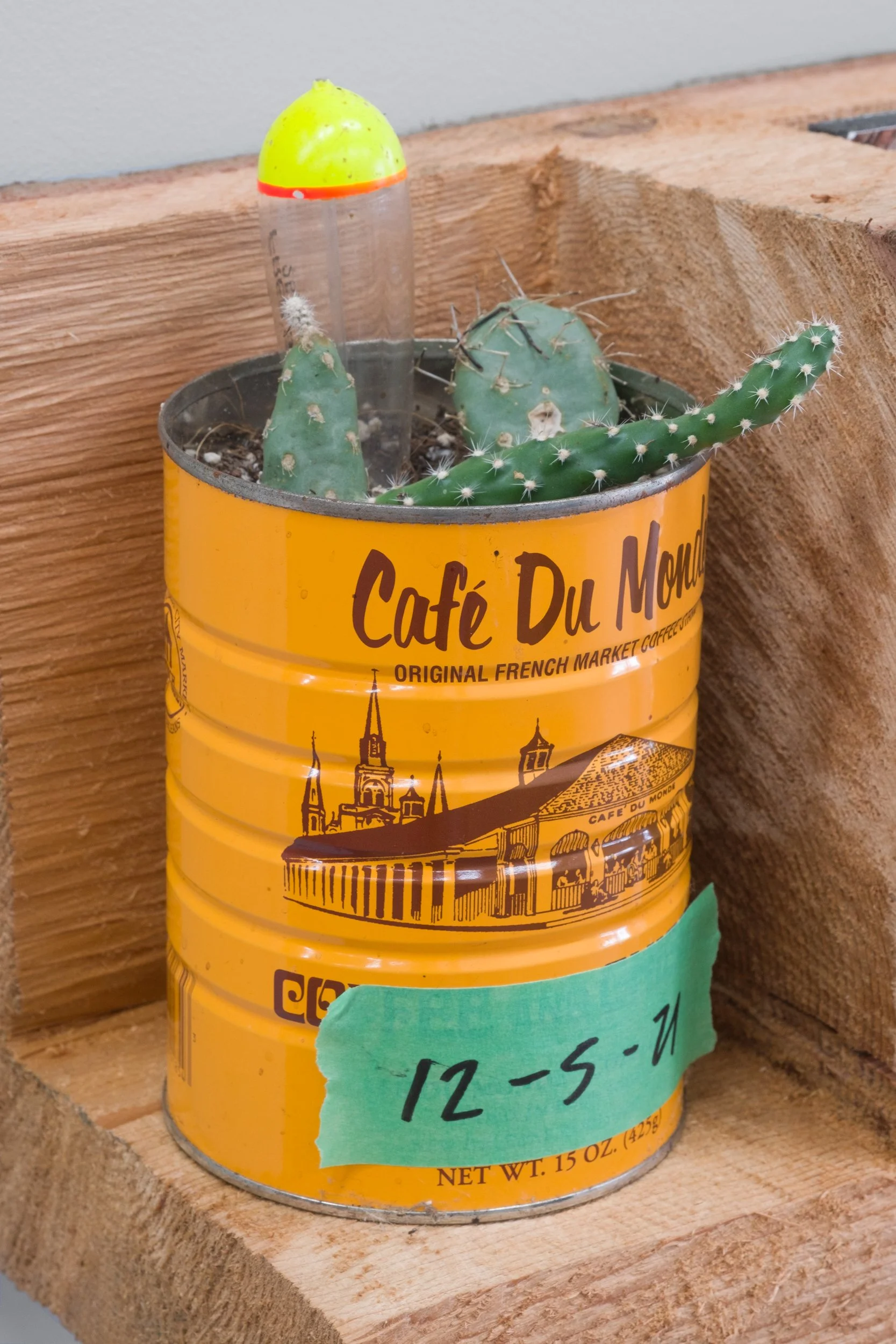 Graham Landin Triangle Beach — Pale Fire