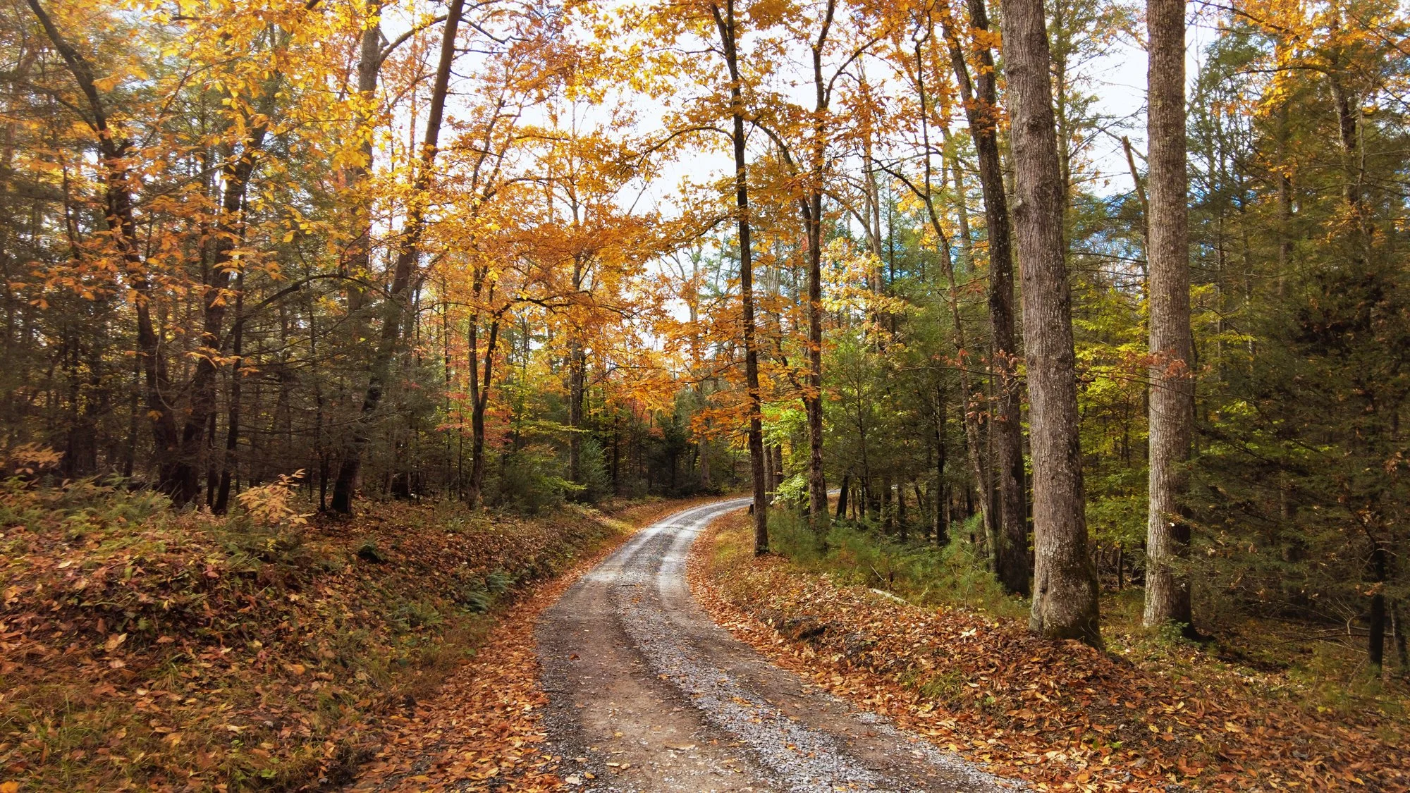 Top 10 Parks to Visit in Fall — Wide Turns Only
