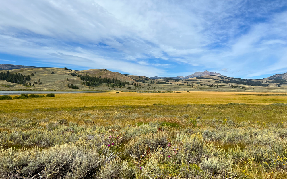 Ultimate Guide to Yellowstone — Wide Turns Only