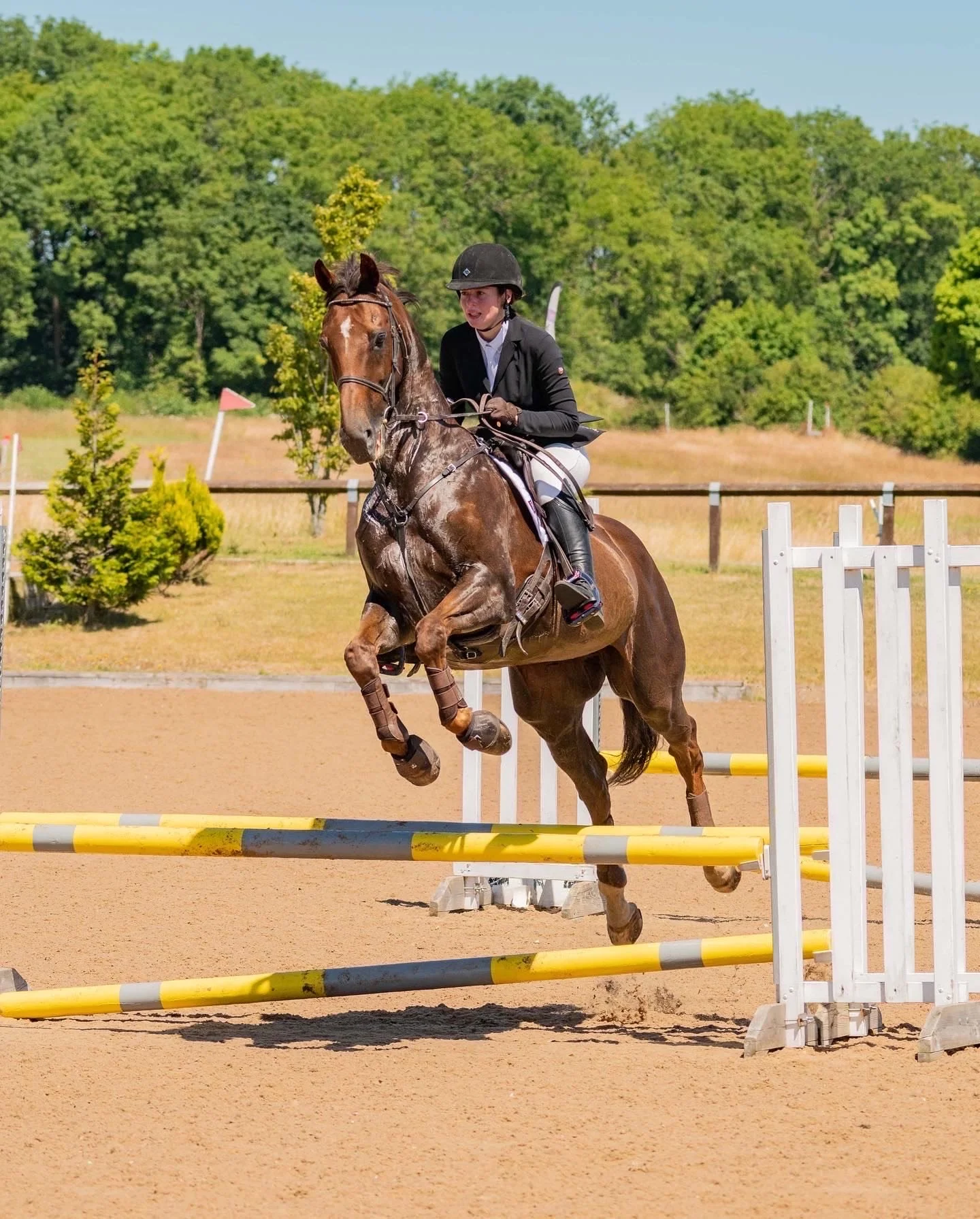 Gracie's Story — Gracie Spinks