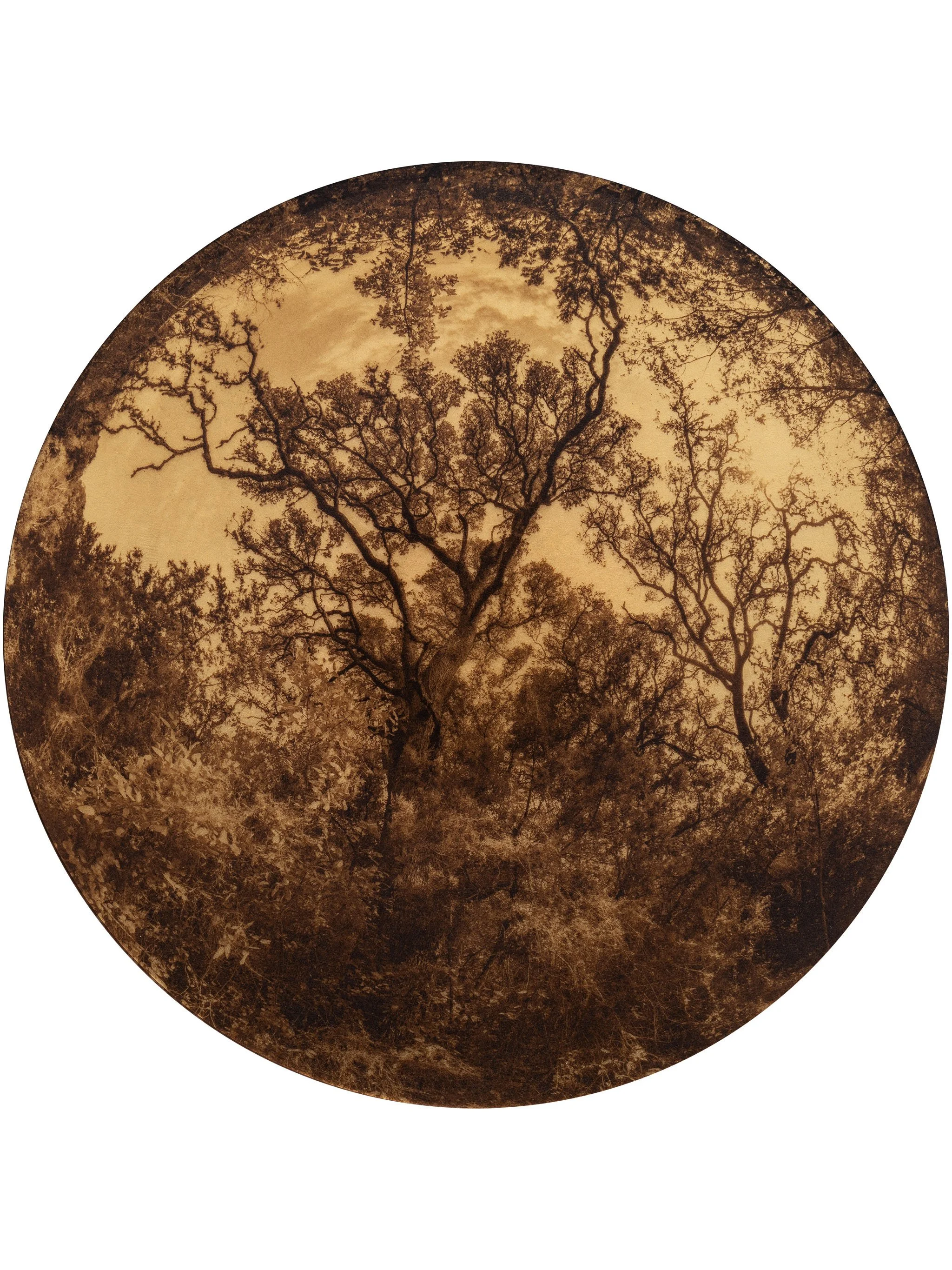 David Marsh