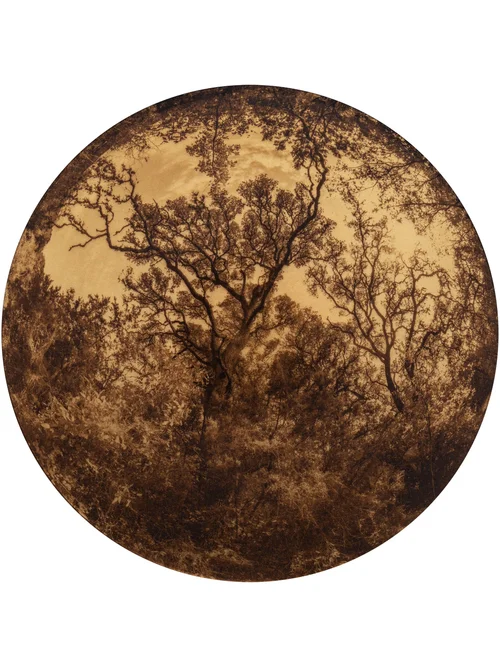 David Marsh