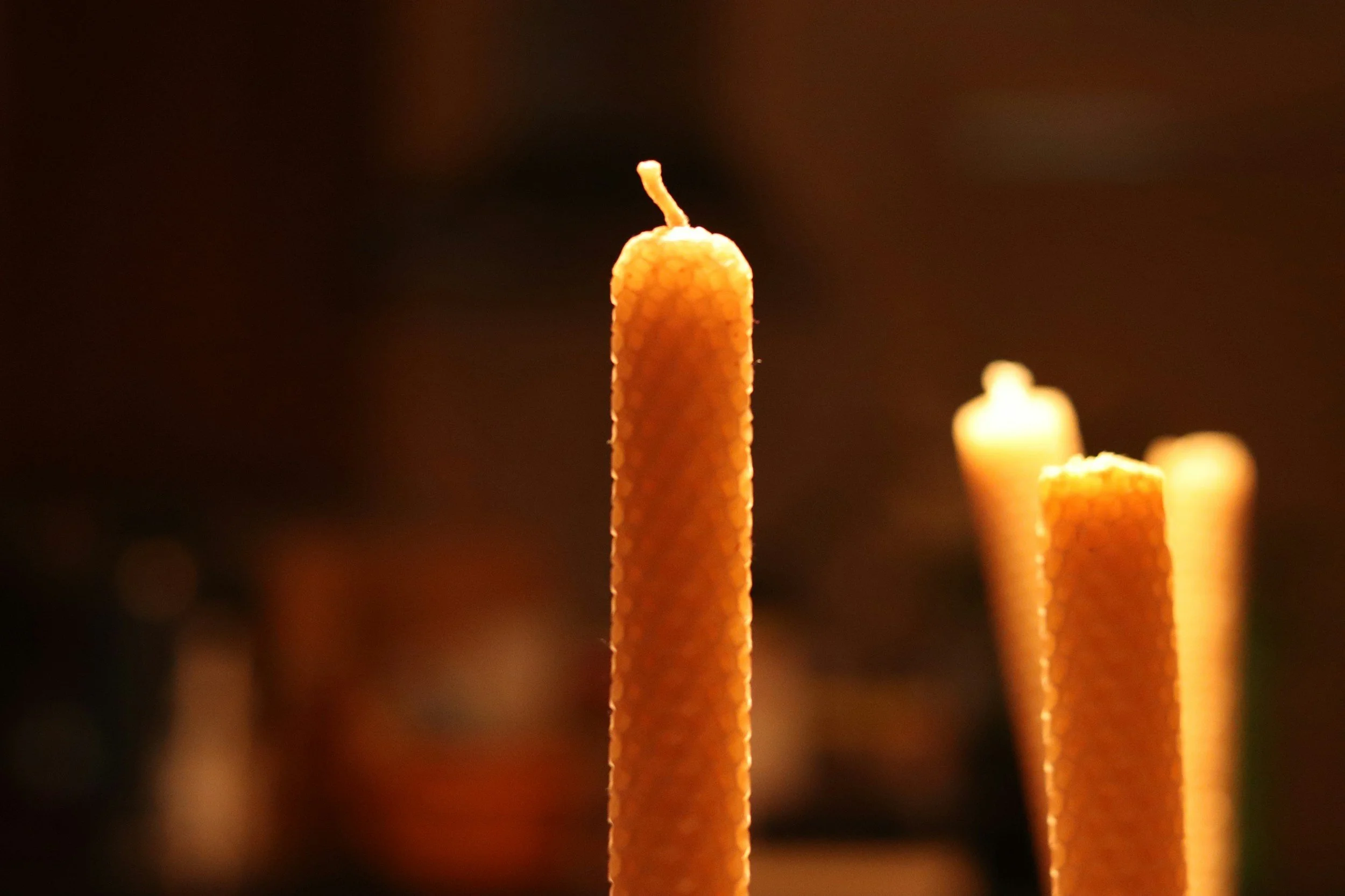 Tipos de velas: Guía completa para conocer, identificar y elegir la ...