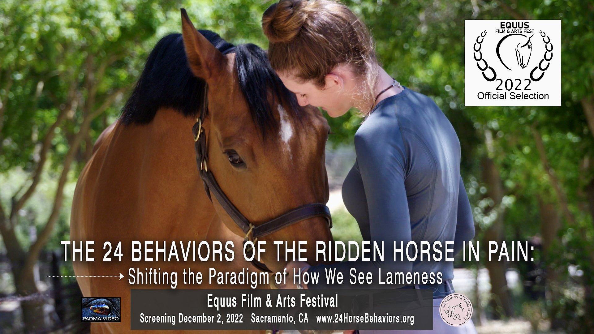 Screenings — 24 Behaviors of the Ridden Horse in Pain