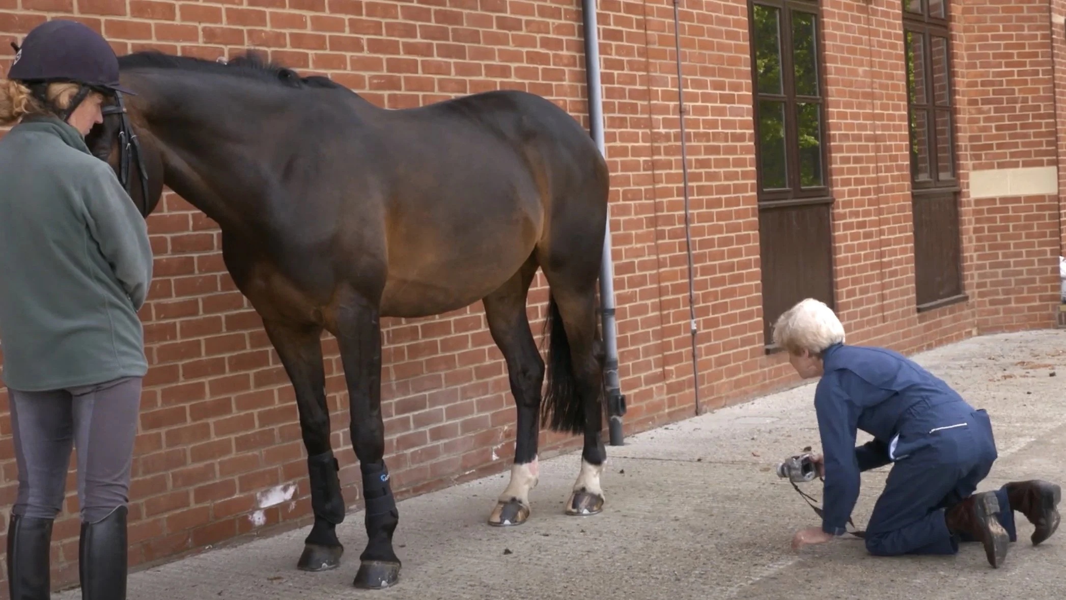 24 Behaviors of the Ridden Horse in Pain