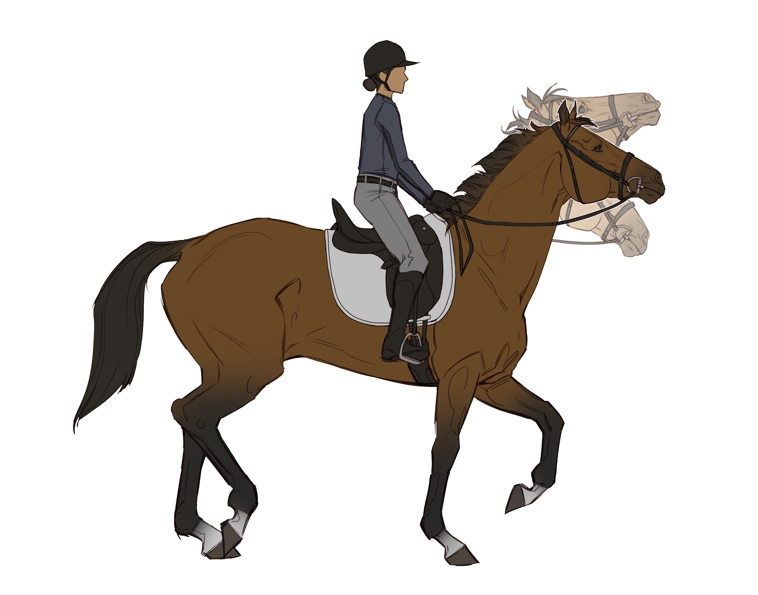 24 Behaviors of the Ridden Horse in Pain