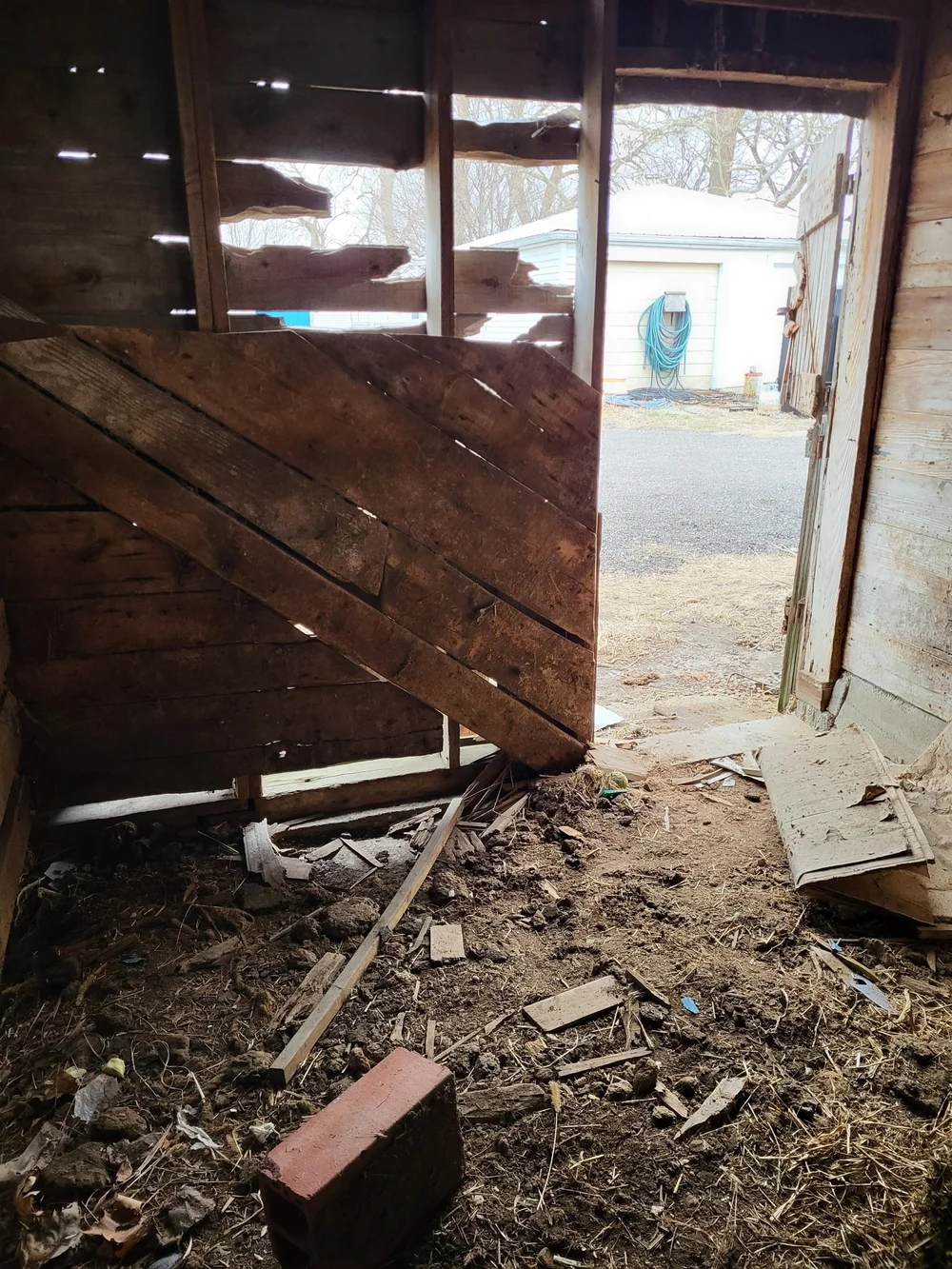 Adding the First Animal to your Homestead — Simply Living Homestead