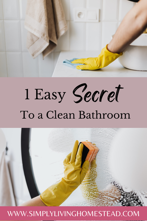 A Clean Bathroom – How to Keep One — Simply Living Homestead