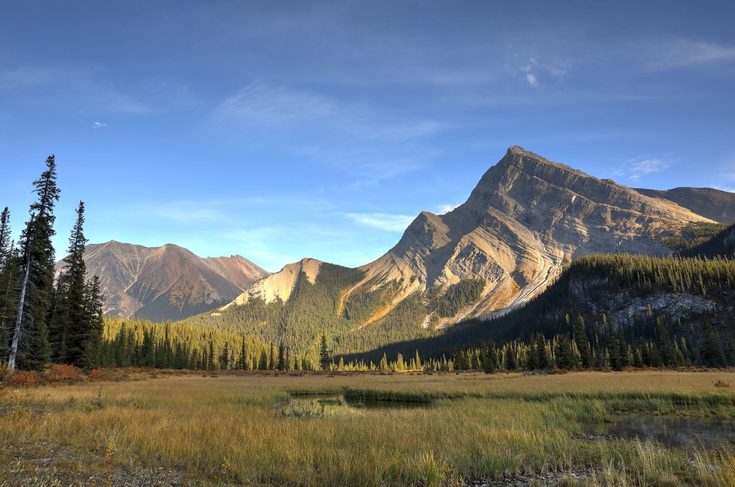 Jasper's North Boundary Trail 12 Day Guided Backpacking Adventure in ...