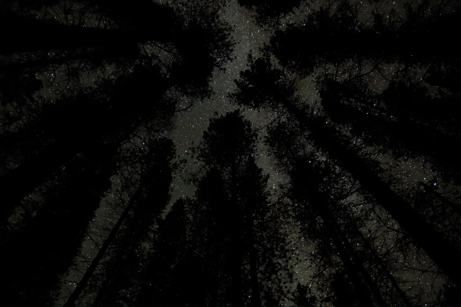 Dark Sky Festival Backcountry Camping at Saturday Night Lake | Jasper ...