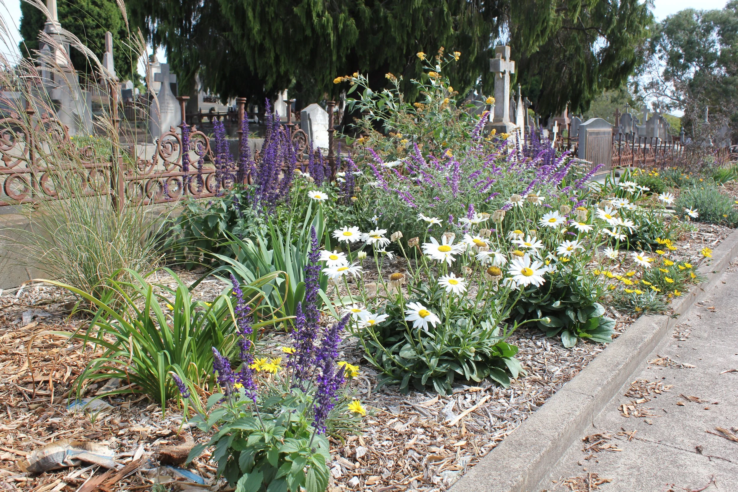 The Sisters of Mercy Memorial Garden - Boroondara (Kew) Cemetery ...