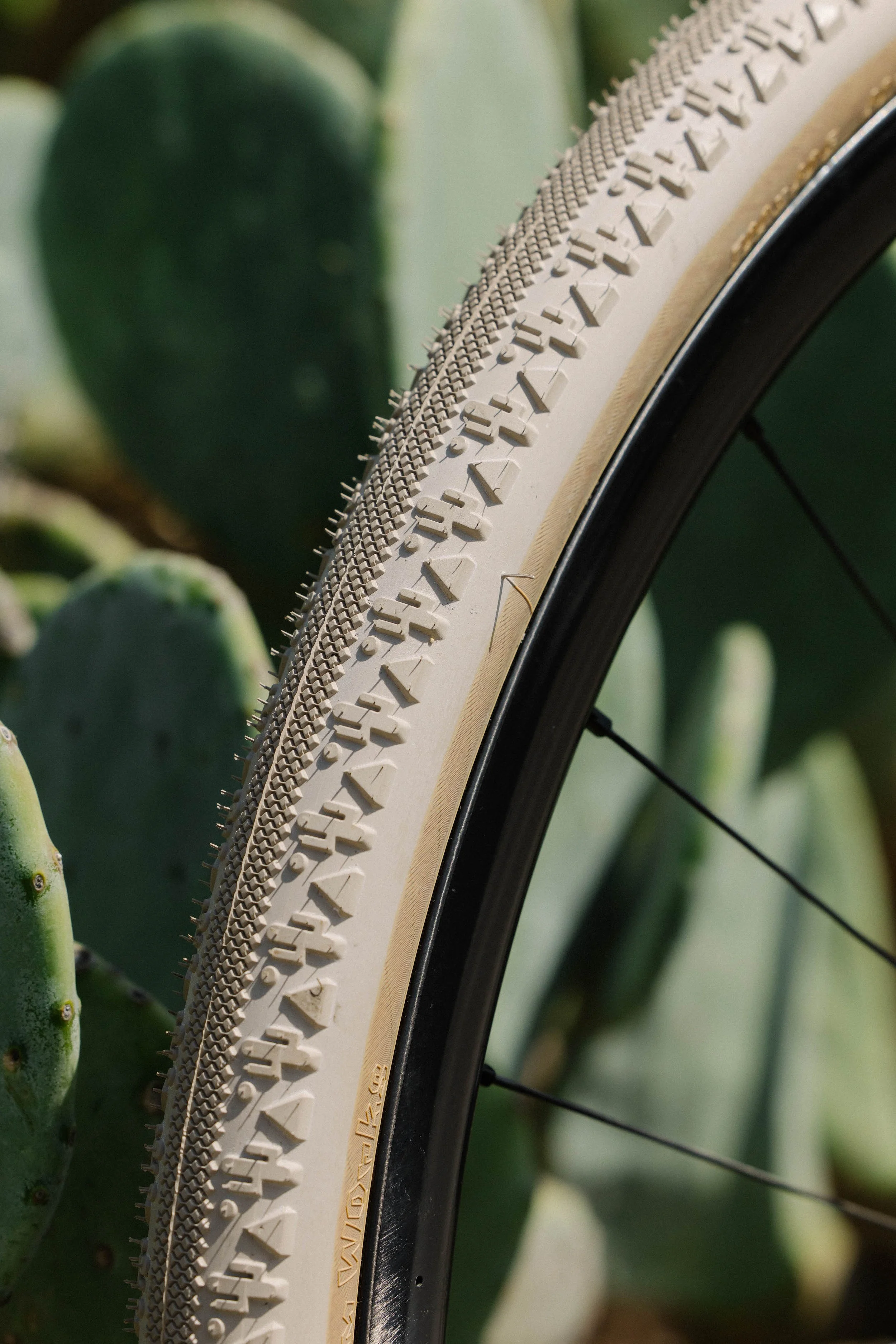Store — Tomii Cycles